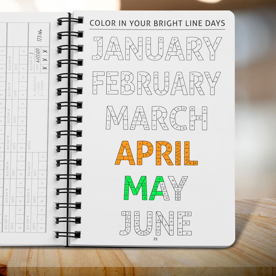 Official Food Journal – Bright Line™ Emporium